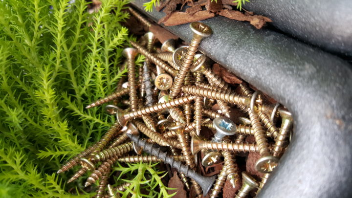 Here are some real camera samples from the Samsung Galaxy S6 ...