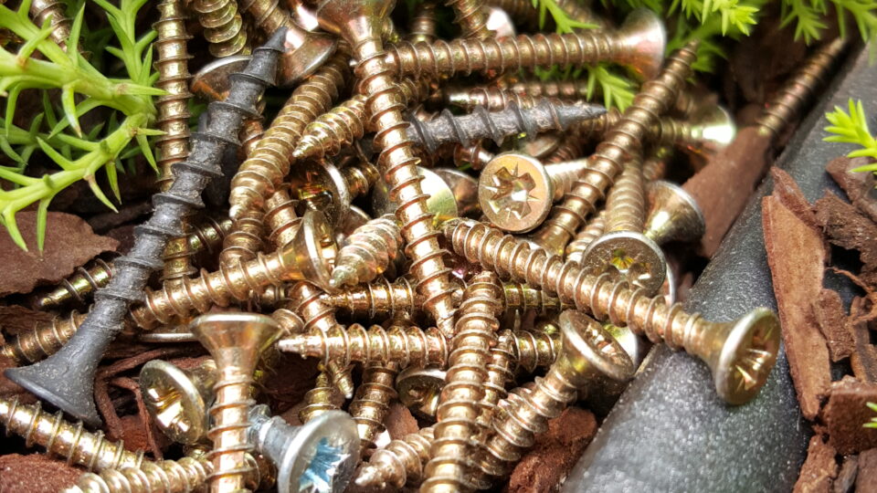 Here are some real camera samples from the Samsung Galaxy S6 ...