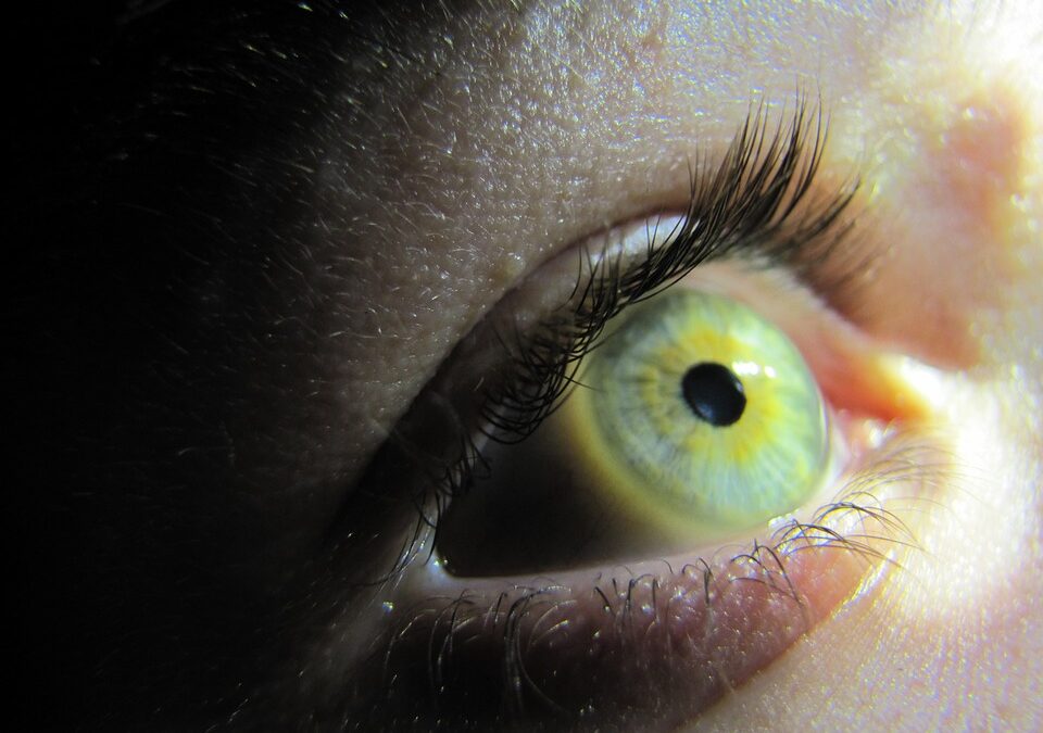 Here's the first look at Samsung Galaxy Note 7's iris scanning ...