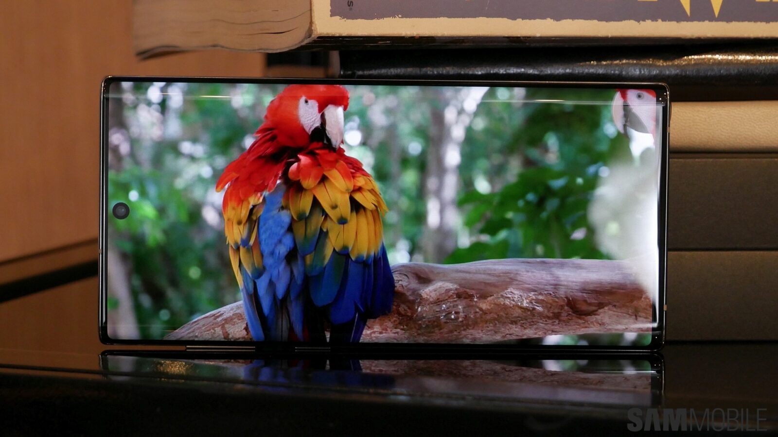 The Galaxy Note 10+ has the best display on a phone right now - SamMobile