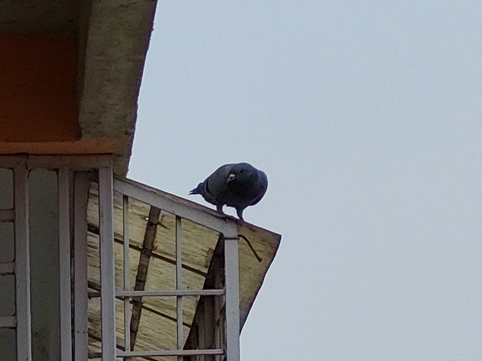 Samsung Galaxy A72 review: Excellent phone that could have been better ...