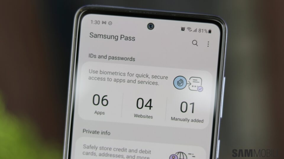 Samsung Pass is now live on the Microsoft Store for Windows PCs - SamMobile