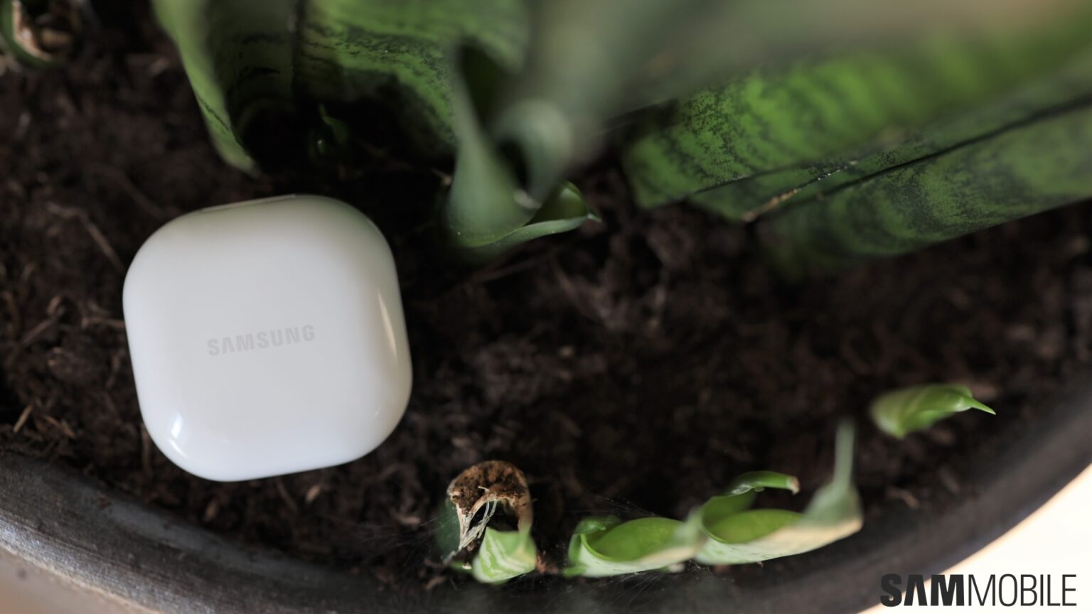 Samsung Galaxy Buds 2 review: Raising the bar for wireless earbuds ...