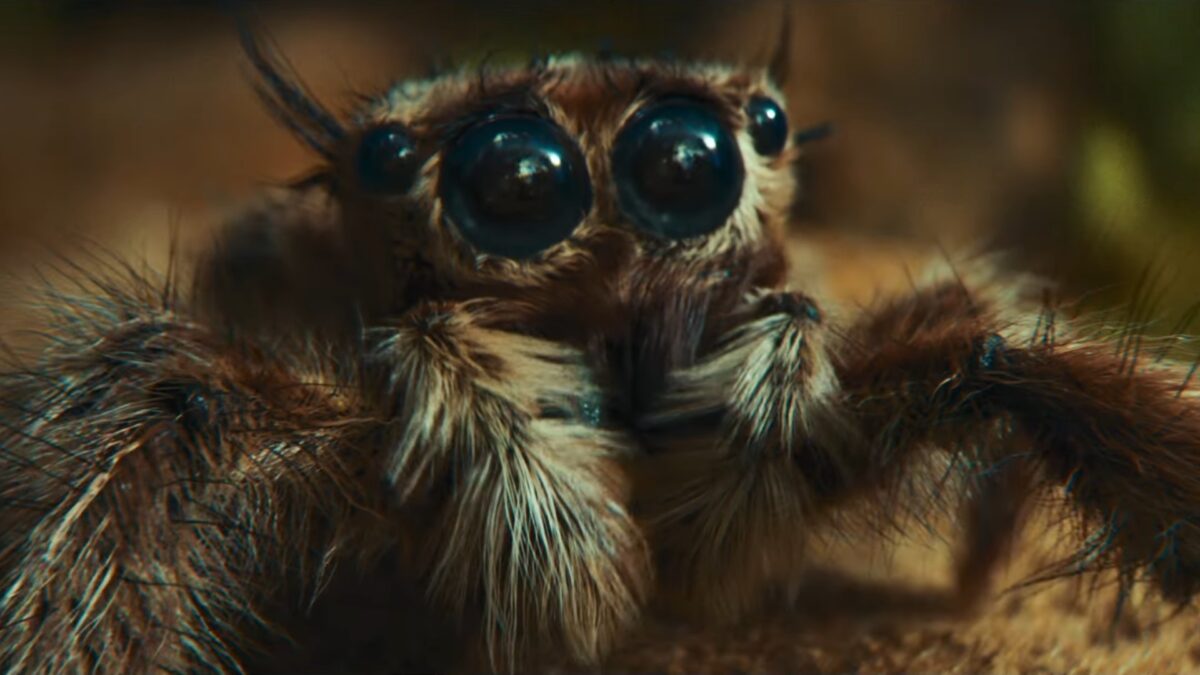 Fear spiders? Samsung's Galaxy S22 Ultra commercial is here to help ...