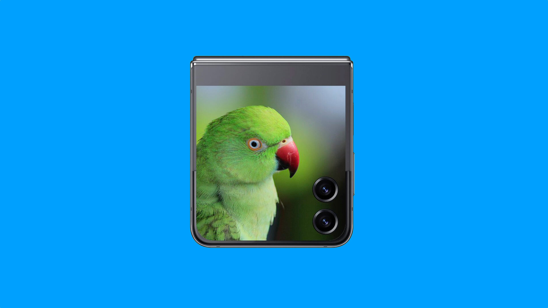 Motorola wants Samsung Galaxy Z Flip 5's cover screen upgrade too ...
