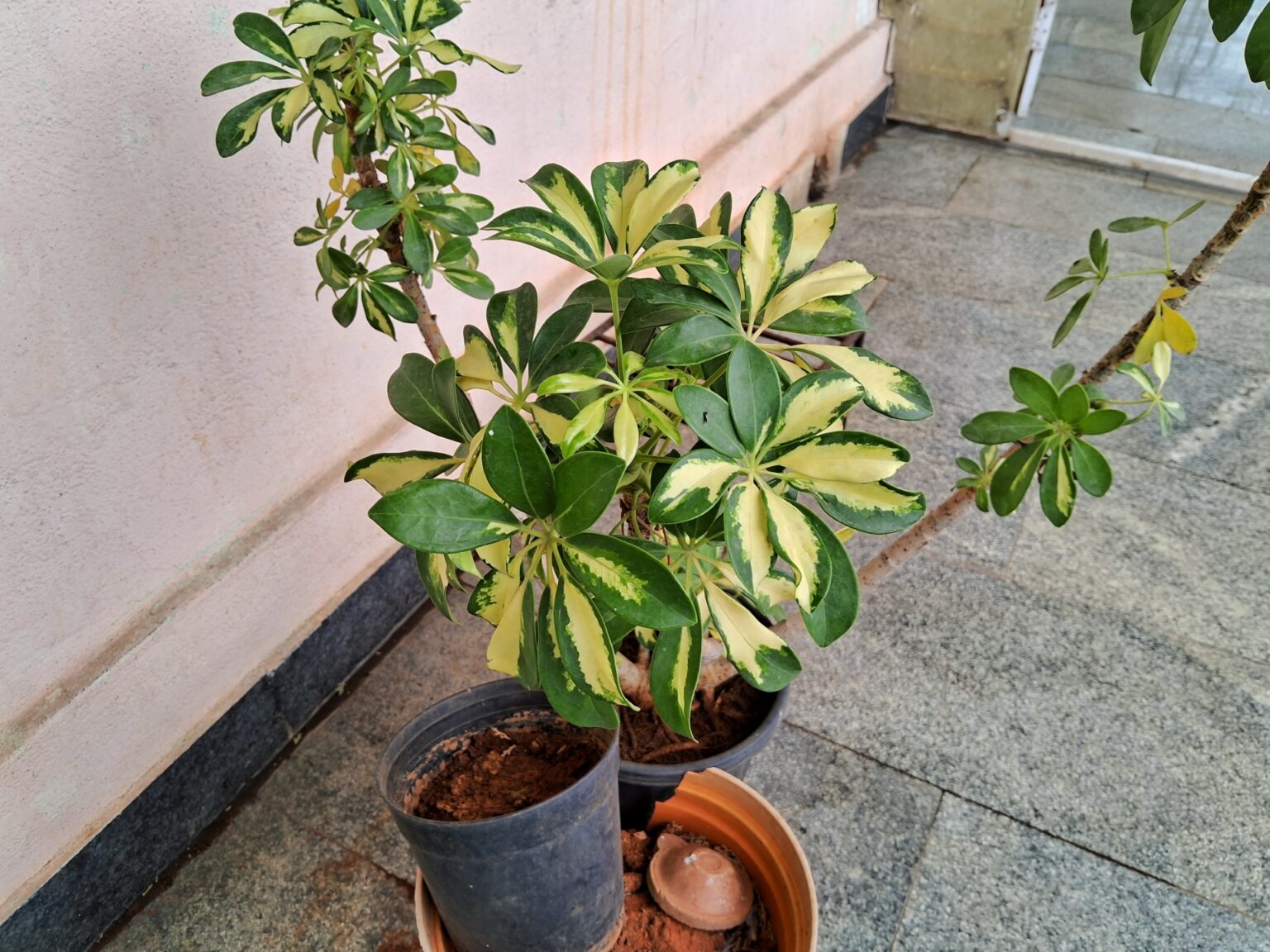 Samsung Galaxy M14 review: Affordable 5G-enabled battery life monster ...