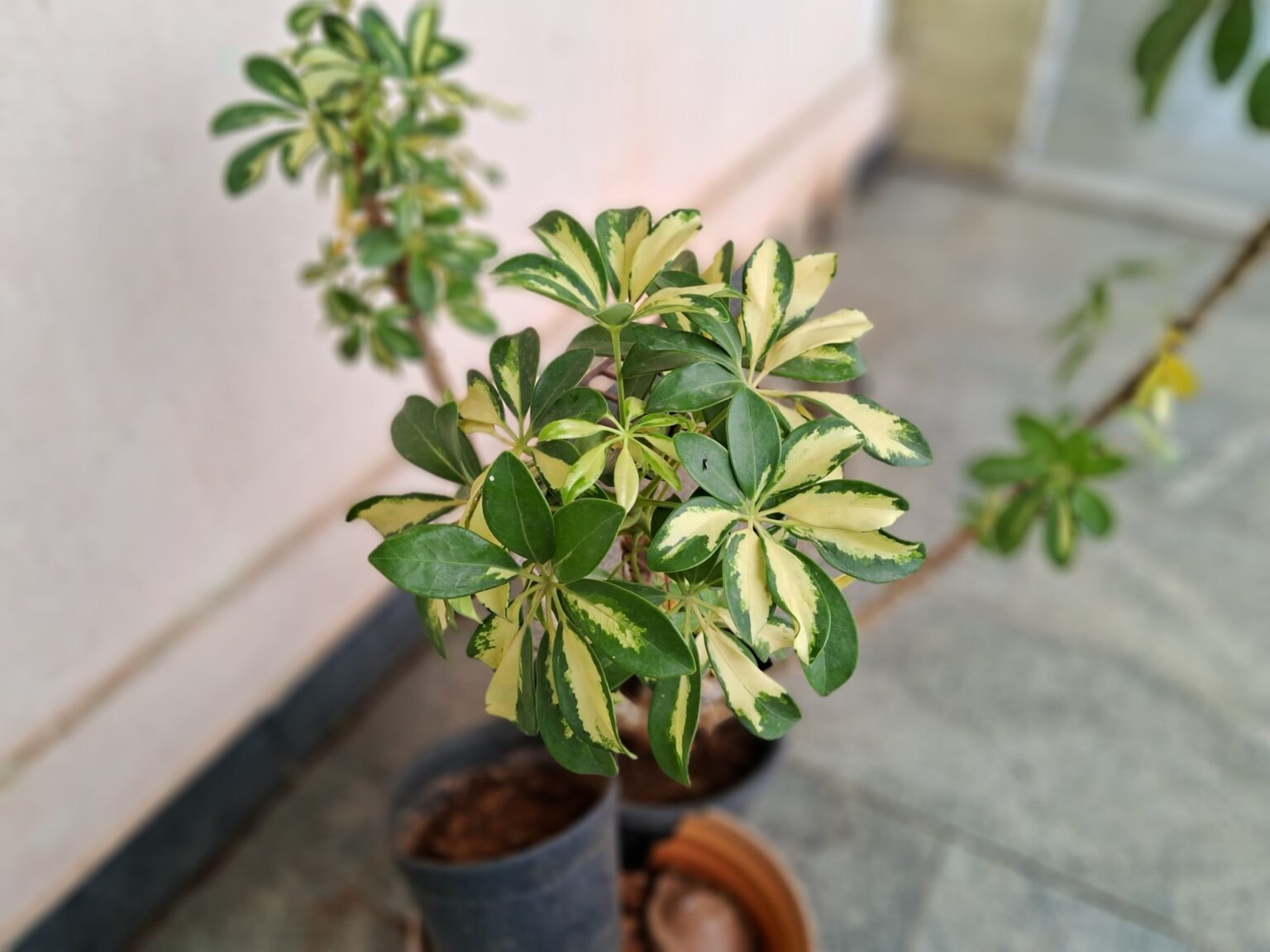 Samsung Galaxy M14 review: Affordable 5G-enabled battery life monster ...