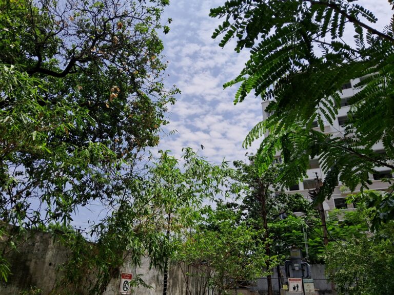 Samsung Galaxy M14 review: Affordable 5G-enabled battery life monster ...