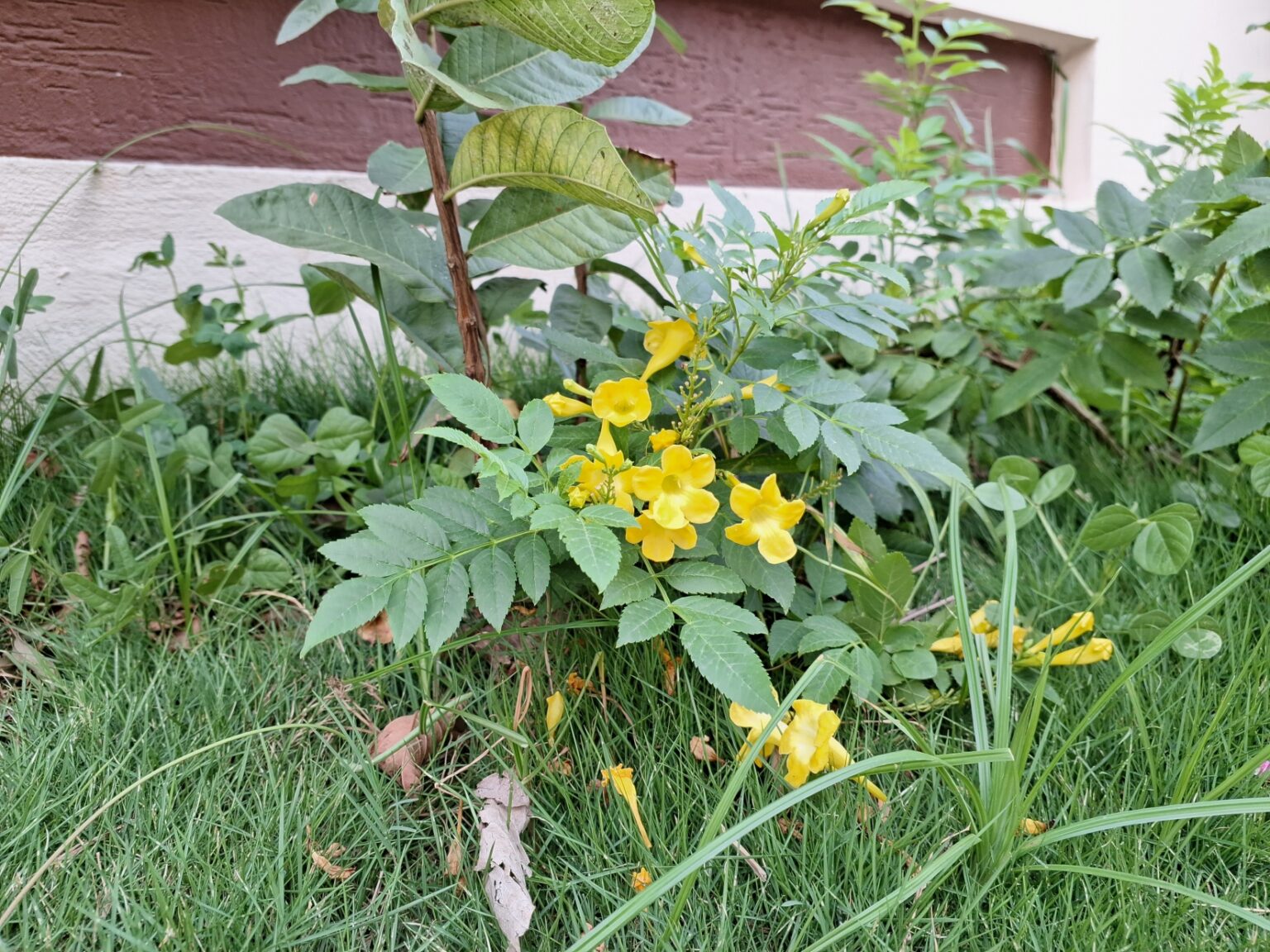 Samsung Galaxy F54 (M54) review: A solid mid-range phone - SamMobile