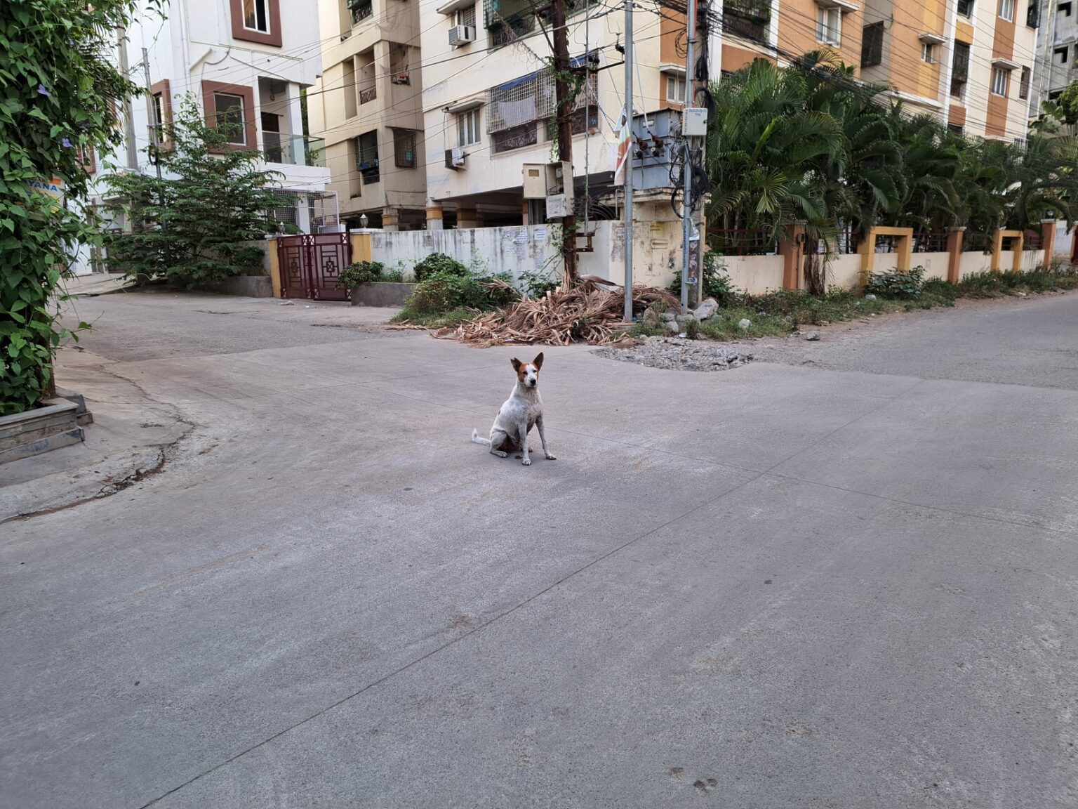 Samsung Galaxy F54 (M54) review: A solid mid-range phone - SamMobile