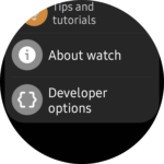 One UI Watch: Enable developer mode on the Galaxy Watch - SamMobile