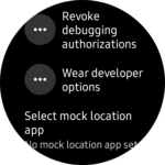 One UI Watch: Enable developer mode on the Galaxy Watch - SamMobile