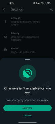 WhatsApp will send you a notification when Channels become available ...