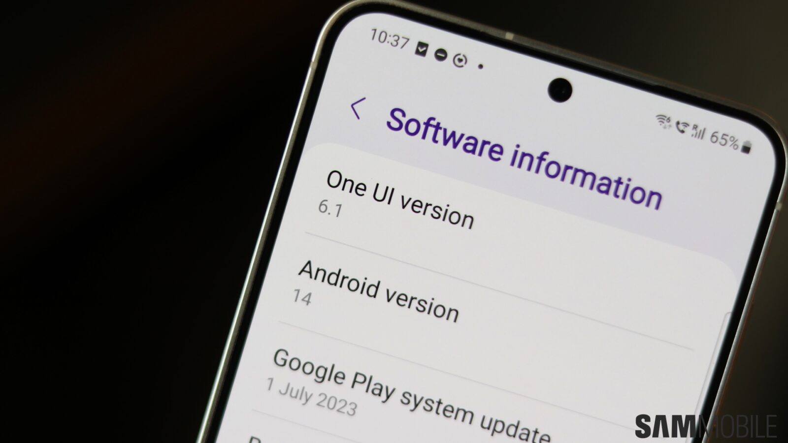 Alert: Do this before you install One UI 6.1 on your Galaxy device! - SamMobile