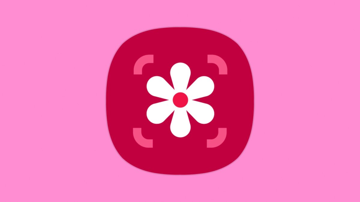 Samsung Photo Editor’s Object Eraser gets Magnetic Lasso feature ...