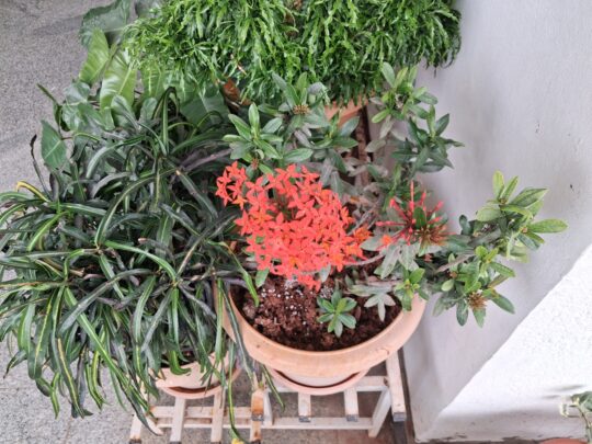 Samsung Galaxy M35 review: Better than you think - SamMobile