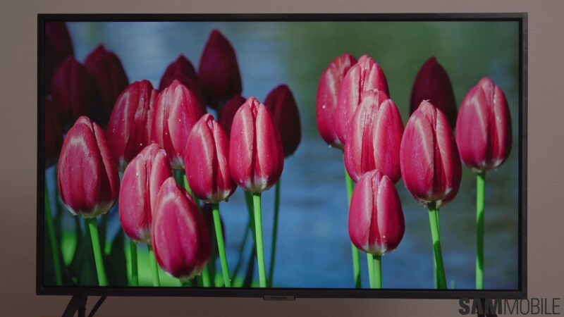 Samsung Q60D TV review: Solid display and features at unbeatable price ...
