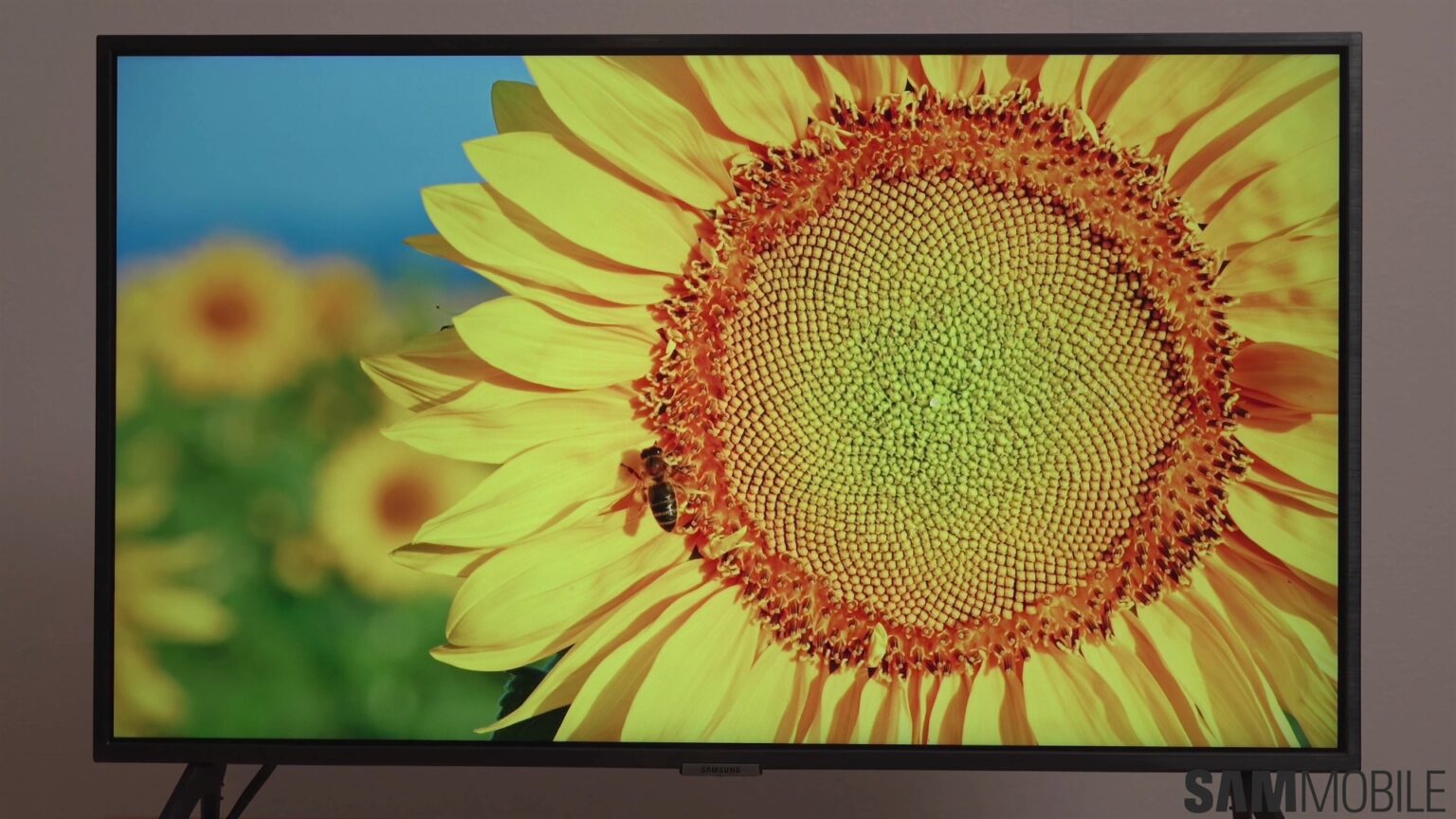 Samsung Q60D TV review: Solid display and features at unbeatable price ...