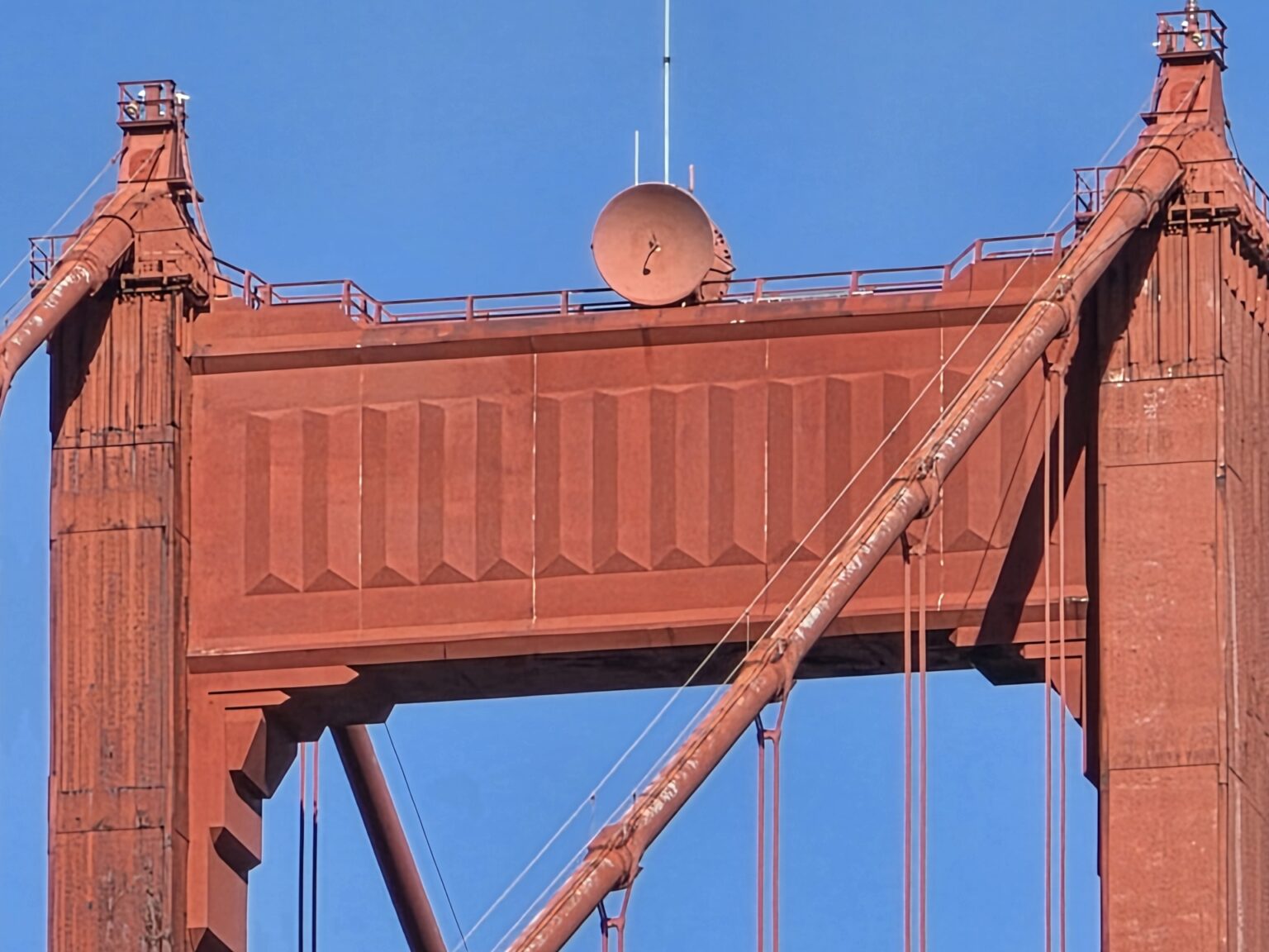 Check out some Samsung Galaxy S25 Ultra camera samples! - SamMobile