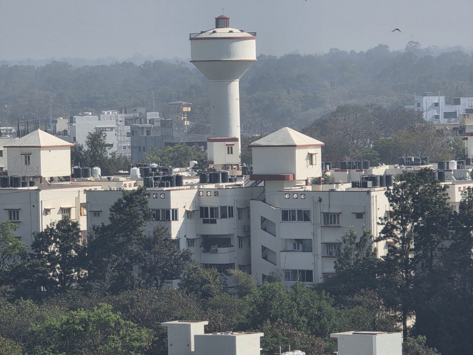 Check out some Samsung Galaxy S25 Ultra camera samples! - SamMobile