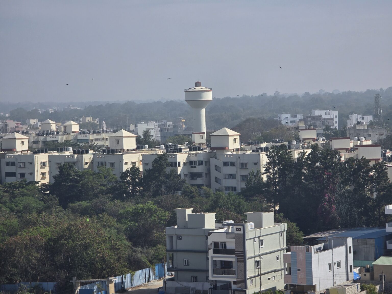 Check out some Samsung Galaxy S25 Ultra camera samples! - SamMobile