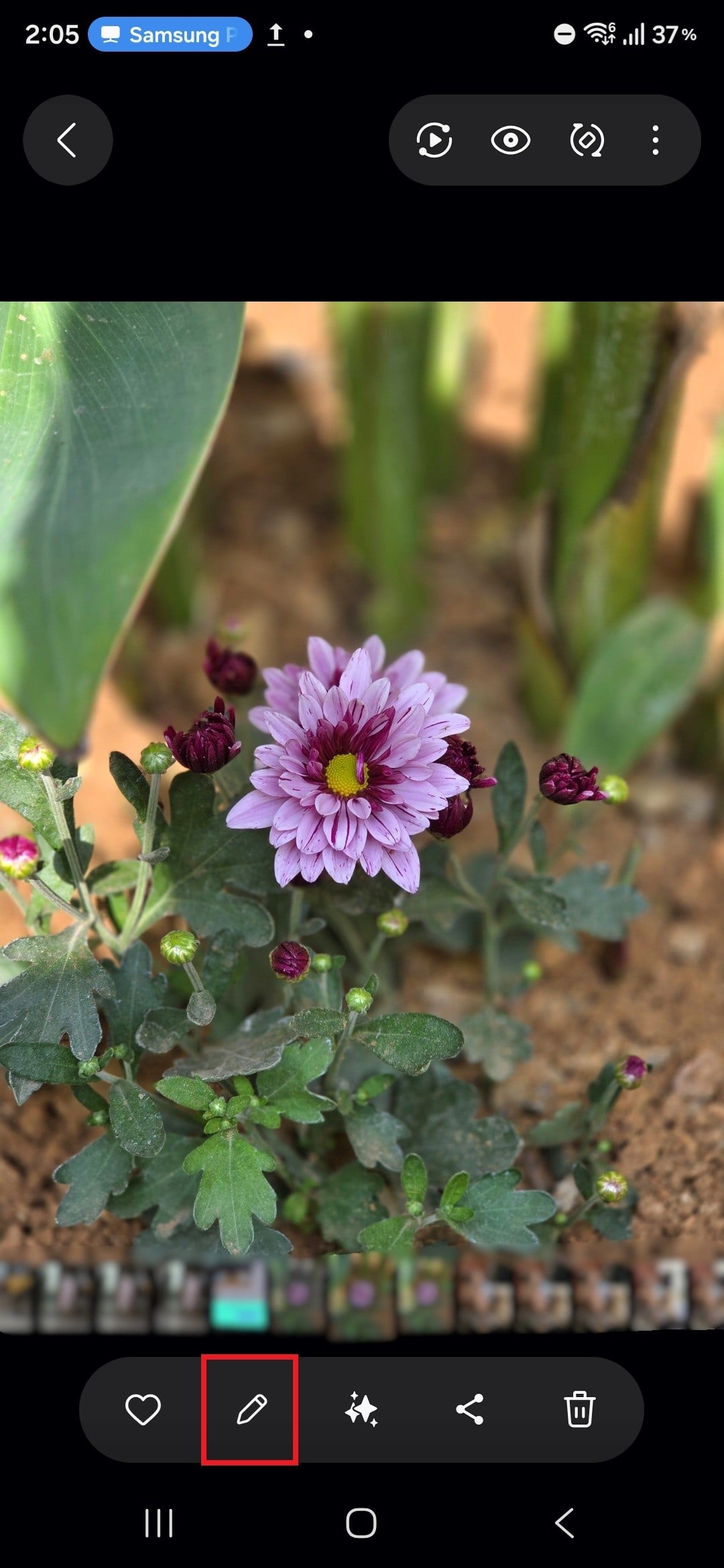 Find out how to adjust or add blur in photos on One UI 8.5 - SamMobile